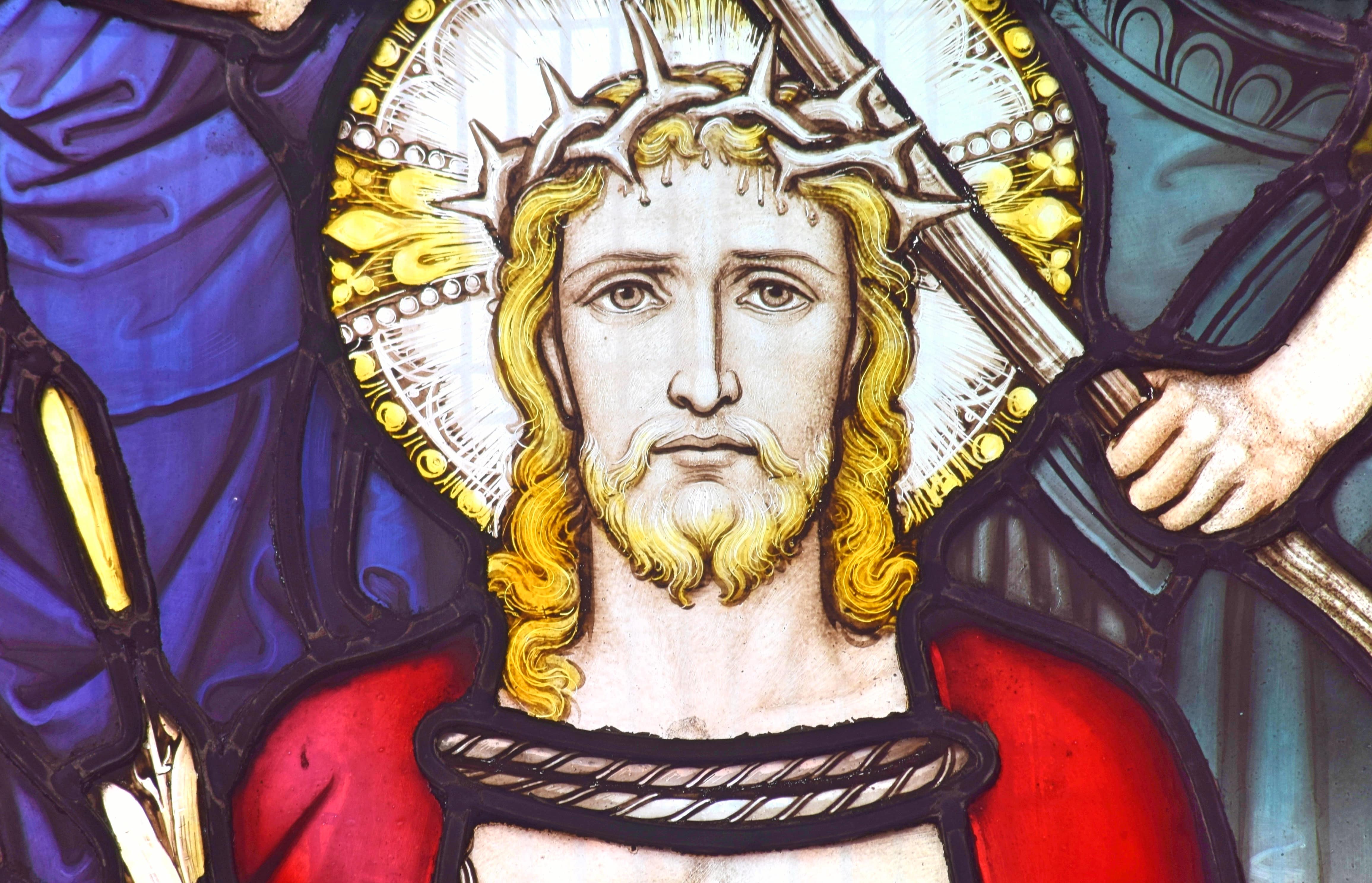 Crown of thorns – Lo & Behold